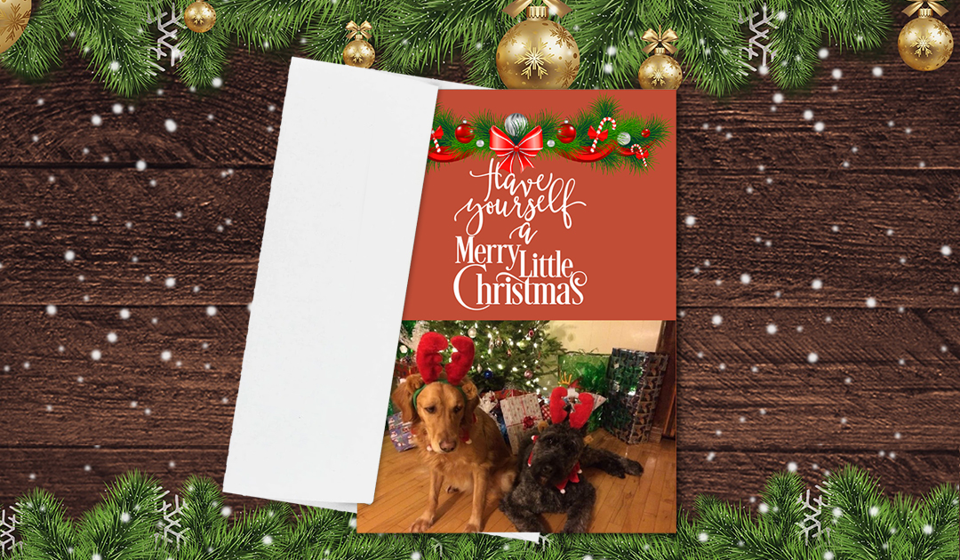 Custom Christmas Cards - Muskoka Graphics